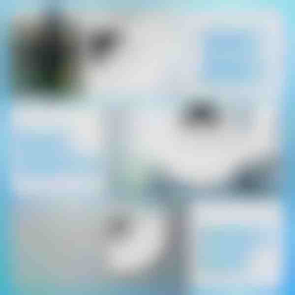 Magnetische ruitenreiniger | WINDOWSWIPE – Superzebra.nl